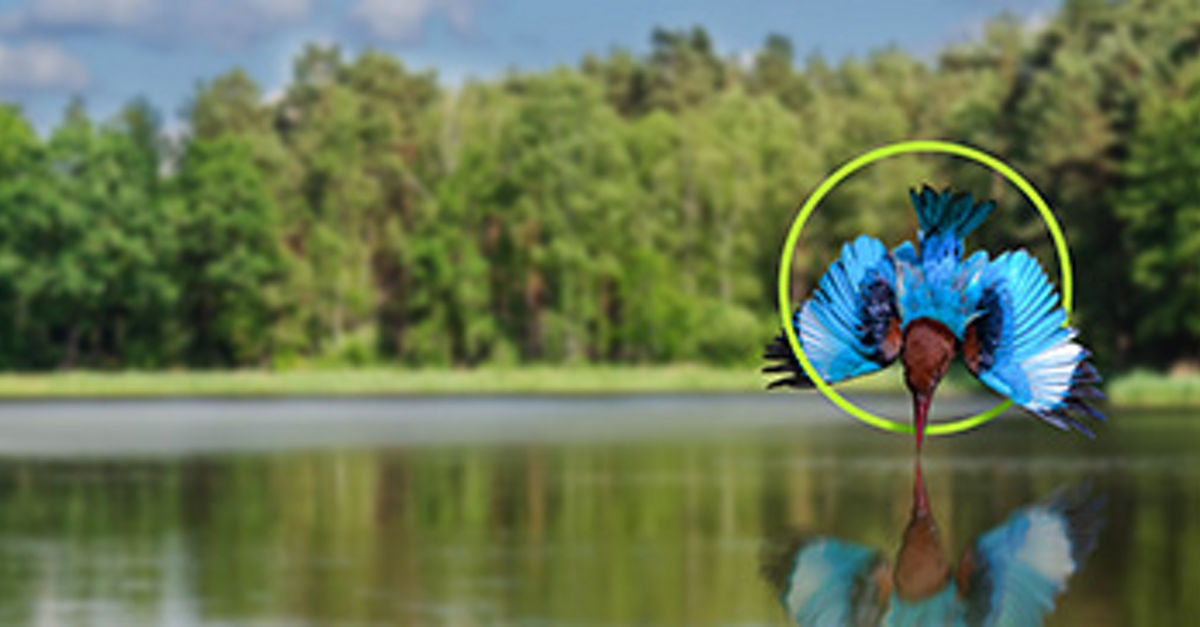 Deloitte's Decarbonisation Solution | Deloitte Netherlands