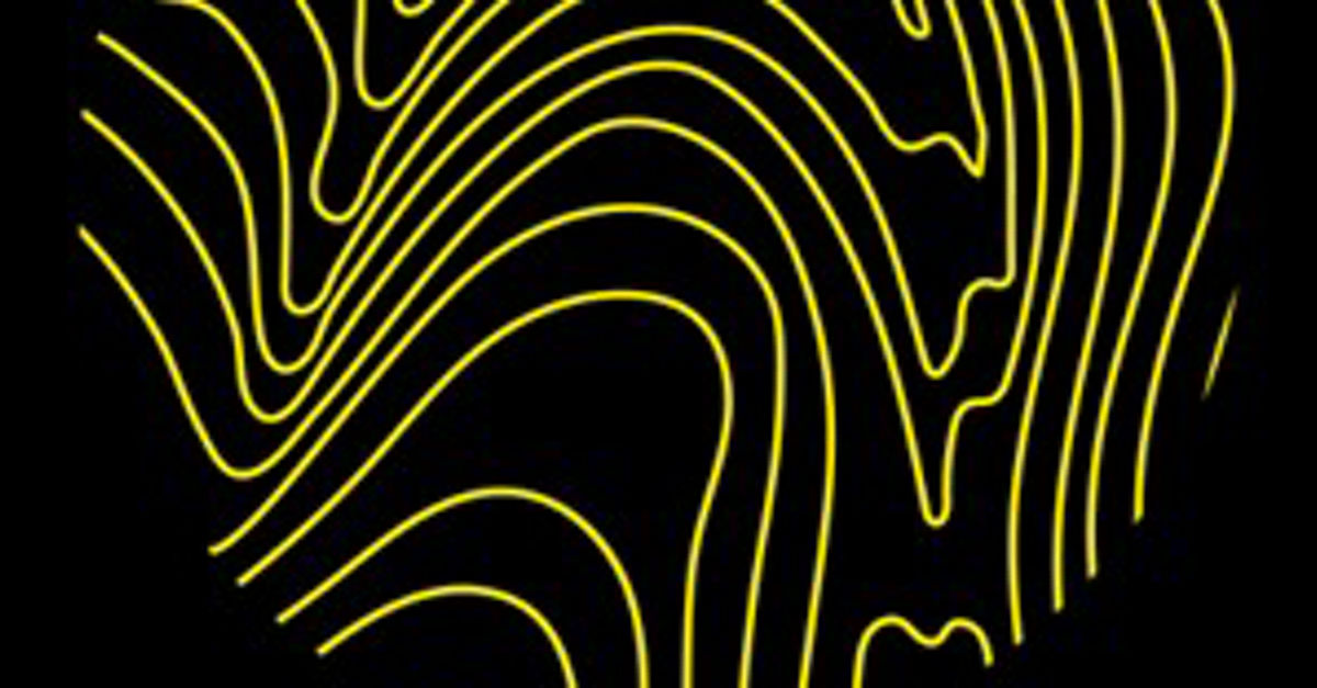 Supervisory Board Program