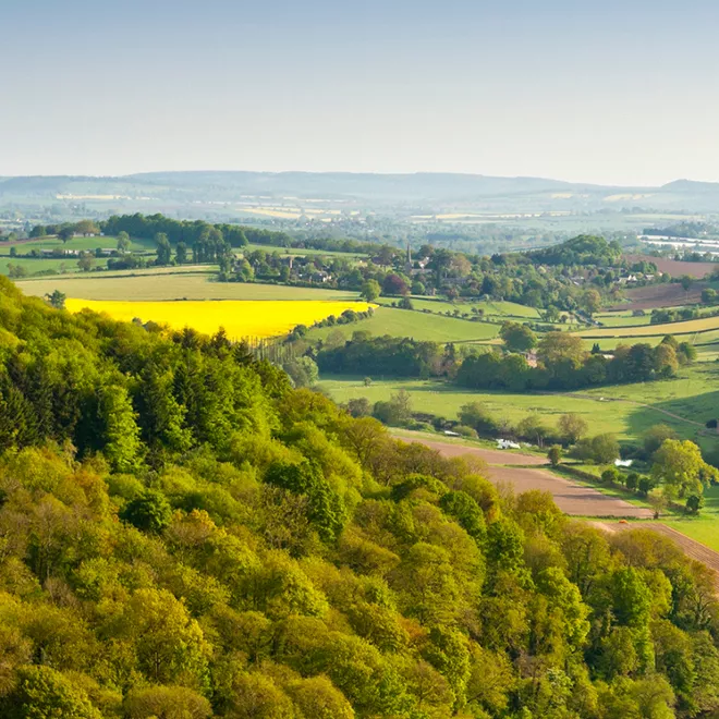 Facts & Figures | Deloitte UK