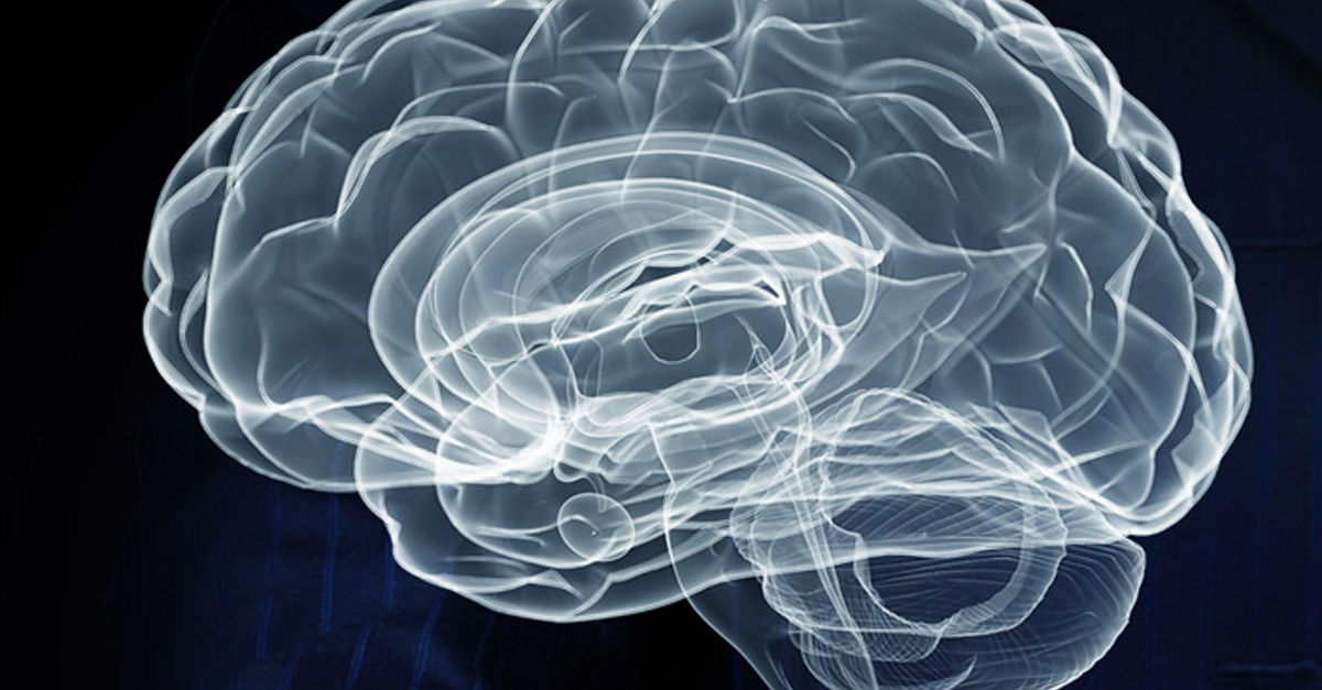 Leveraging digital feedback for customer centricity | Deloitte UK