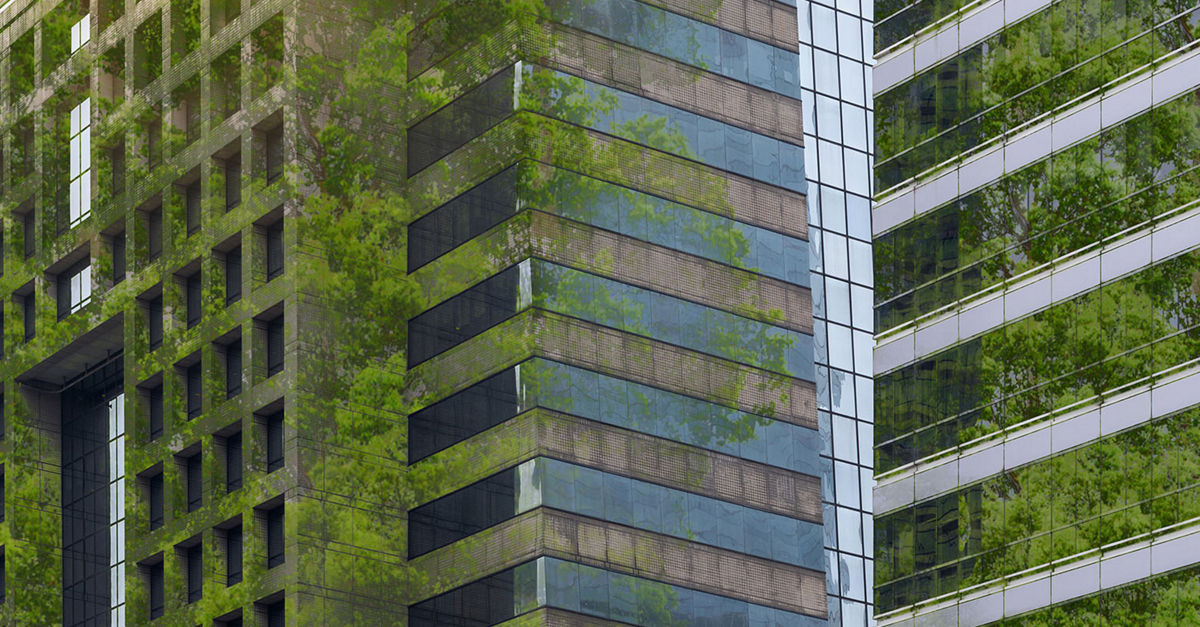 Sustainable carbon credits strategy for the hospitality industry ...