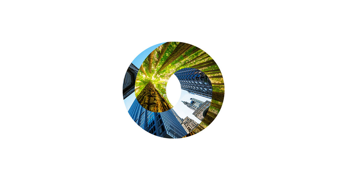 What is the implication of the Corporate Sustainability Due Diligence ...