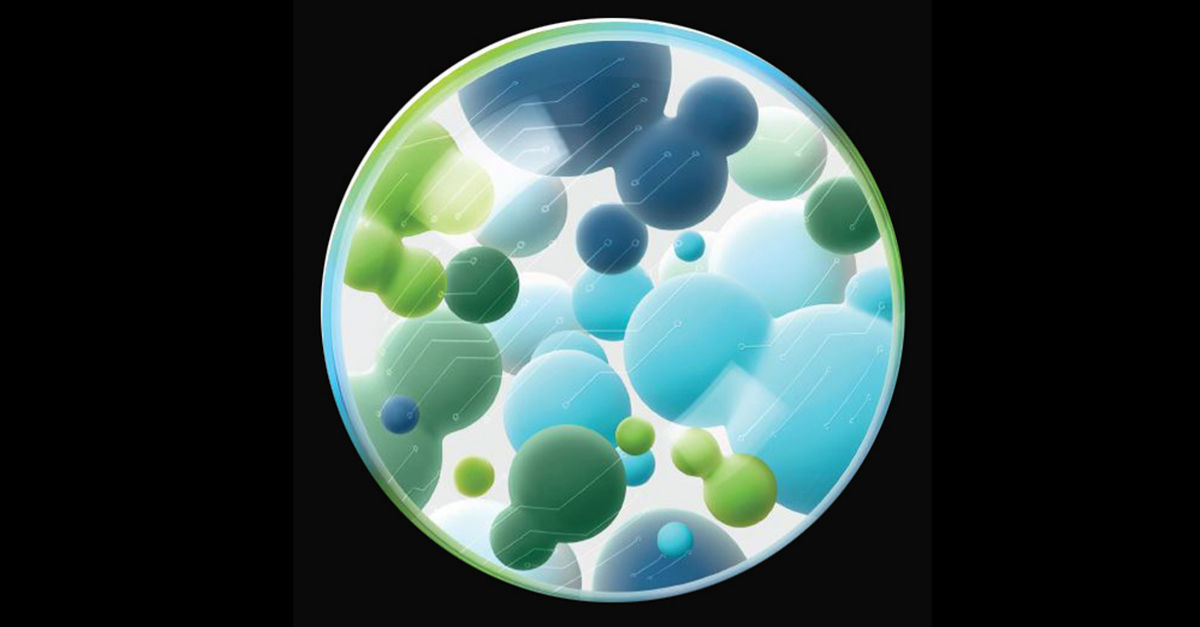 10 Steps to Executing an Effective Redress Exercise | Deloitte UK