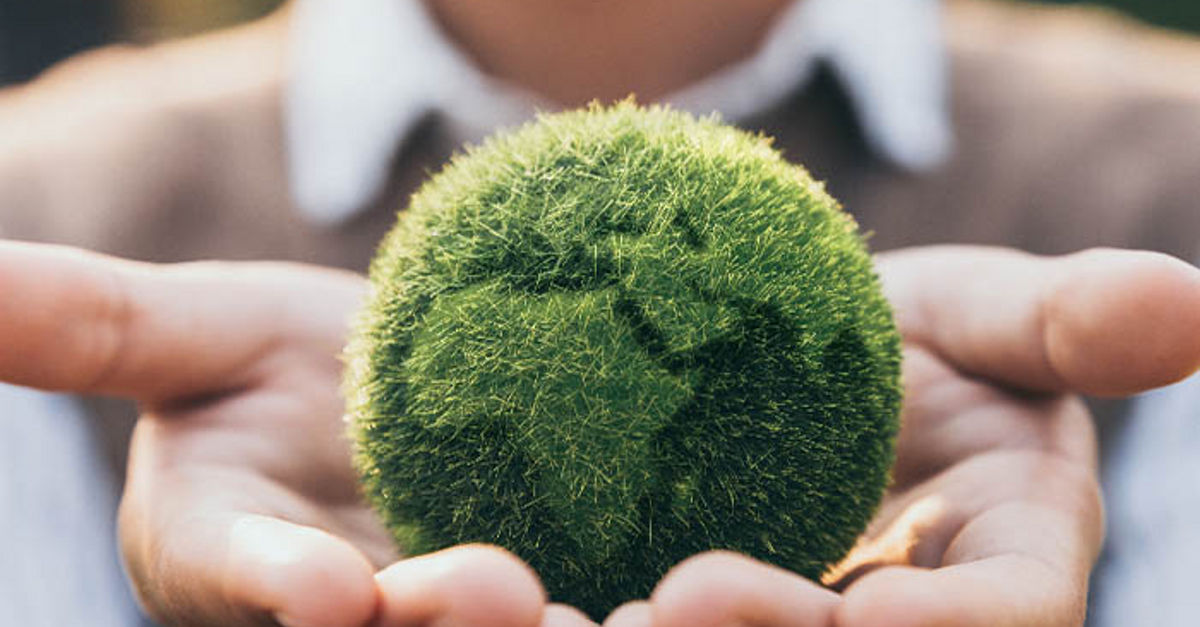 GBS Partnering for Sustainability | Deloitte UK