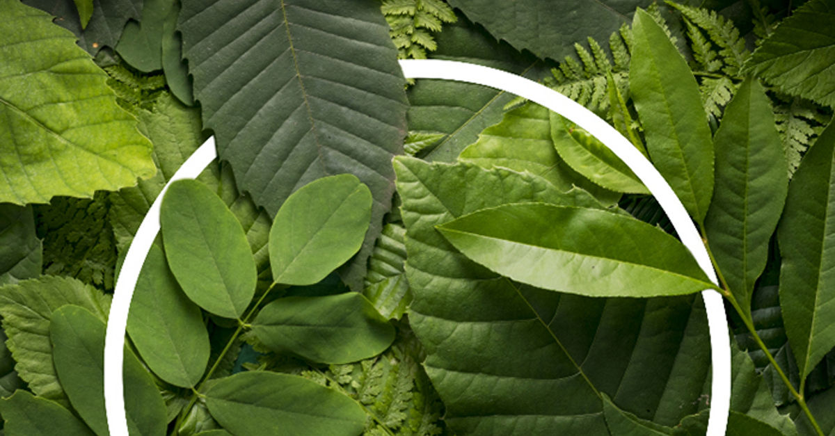 Nature Bytes Back | Deloitte UK