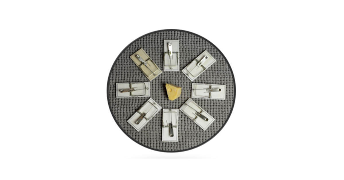 An exploration of oversight responsibilities and how they affect asset ...