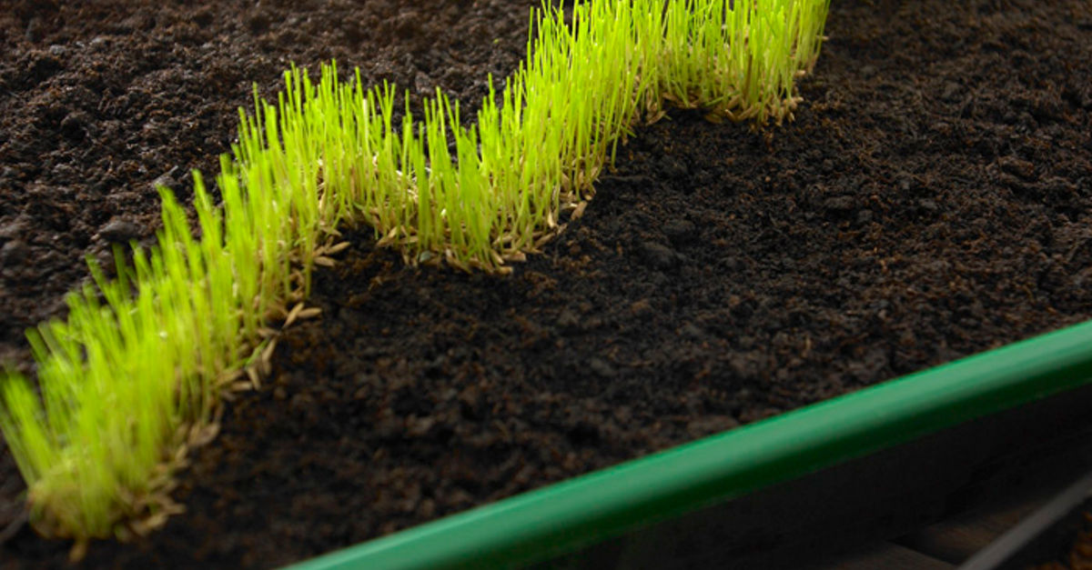 Spring Statement 2025 | Deloitte UK