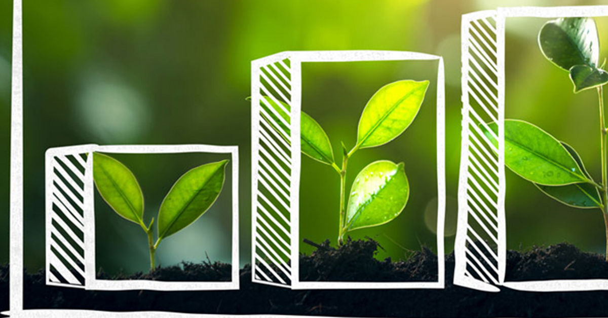 CFO’s role in Sustainability & ESG | Deloitte UK