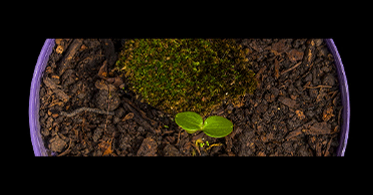 Building an ESG controls framework | Deloitte UK