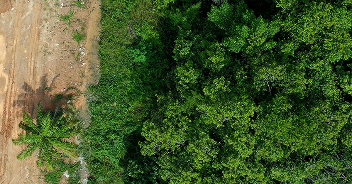 ESG Data & Technology | Deloitte Ireland