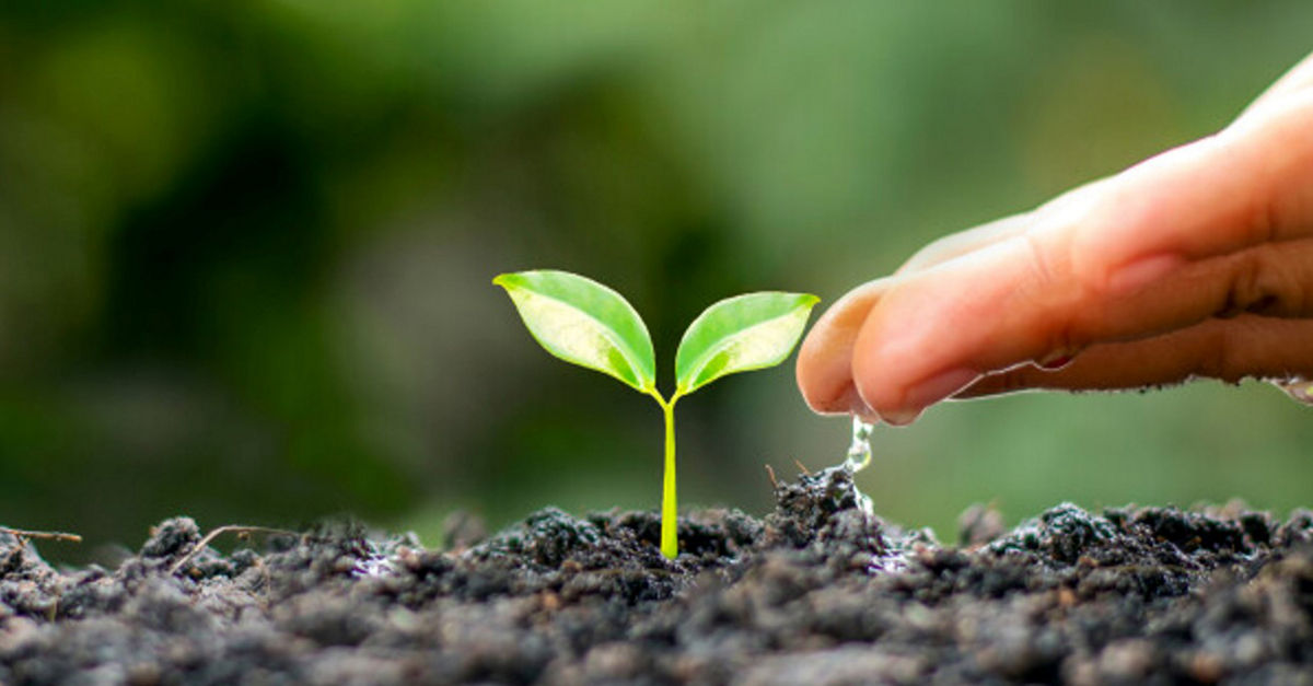 The Evolution of Scaled Shared Services | Deloitte UK