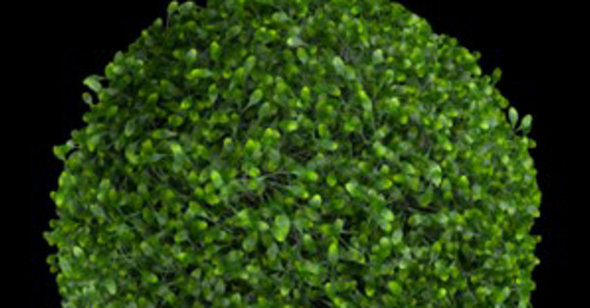 Integrity Insights: Spotlight on ESG | Deloitte