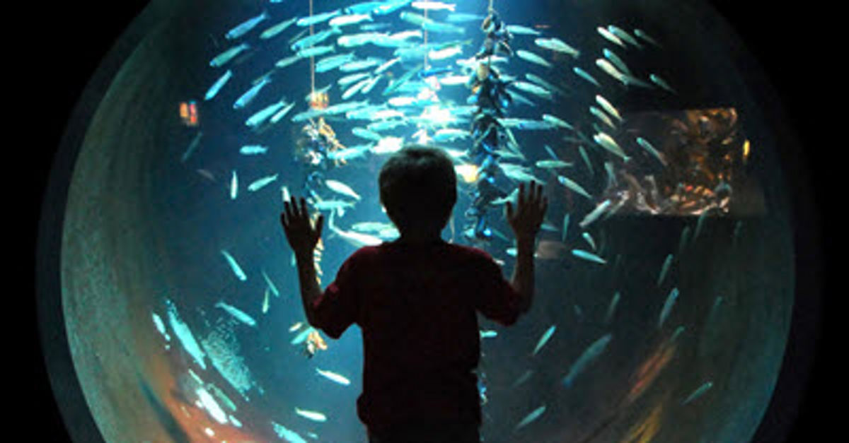 2023 Incentives alerts&circulars | Deloitte Israel