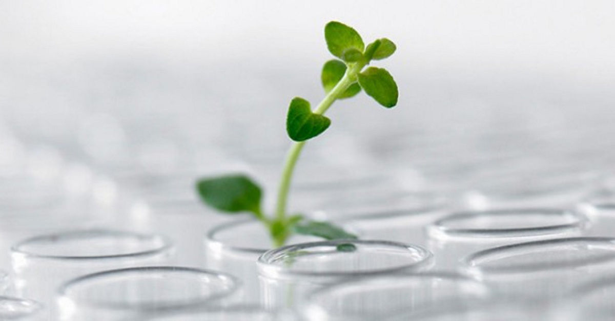 Discovery | Deloitte New Zealand | Deloitte Forensic