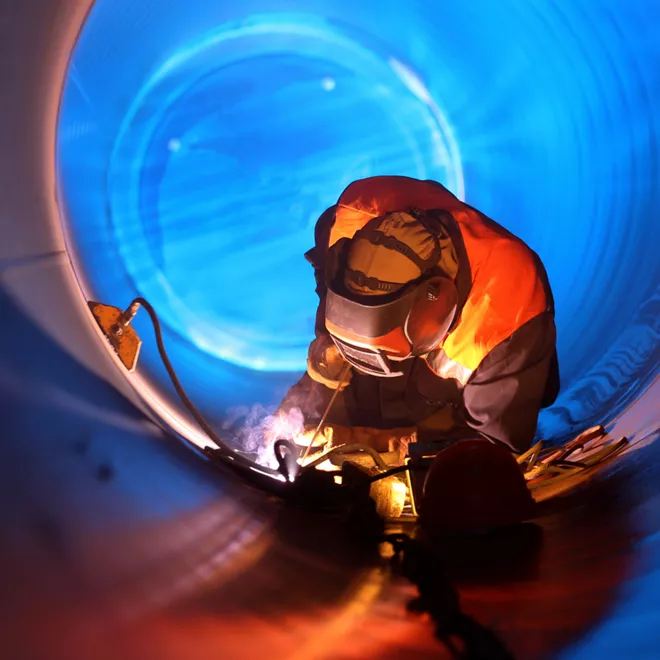 Workforce Transformation Consulting Deloitte New Zealand