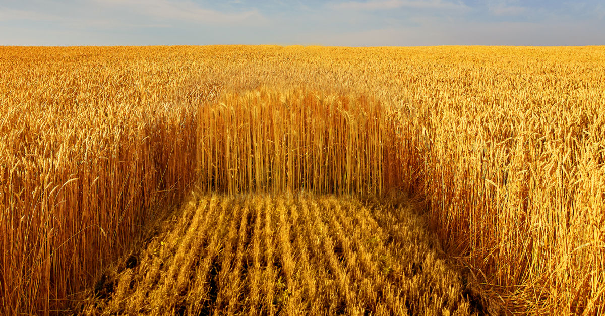 How sanctions impact global economy | Deloitte Insights