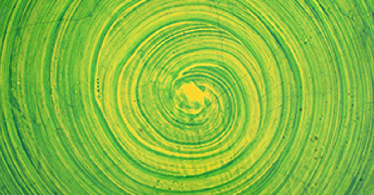 Immigration Alert – Update on the new work permit process to be ...