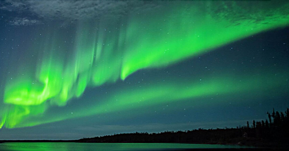 GreenLight Solution | Deloitte US