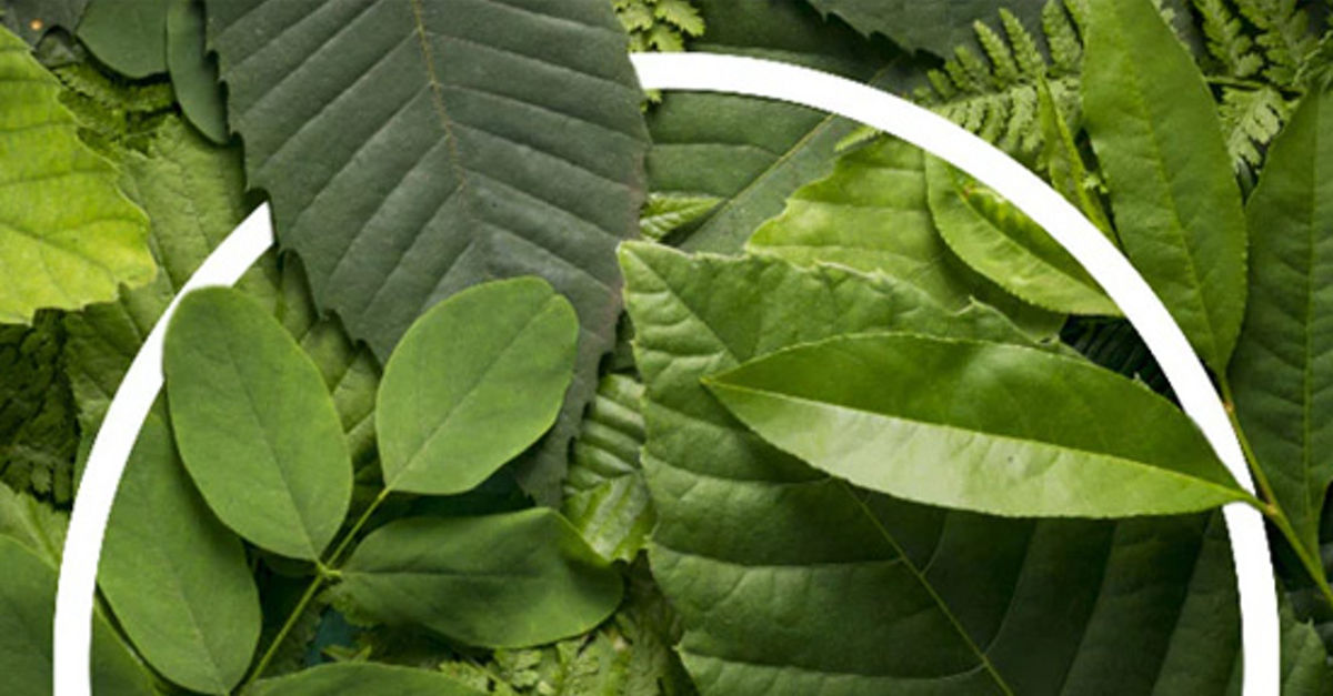 Celebrating the Accomplishments of People with Disabilities | Deloitte ...