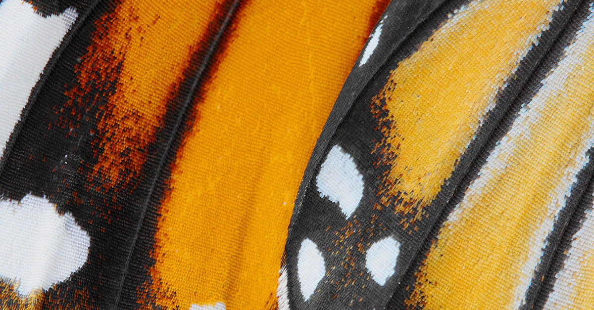 The art of finding purpose | Deloitte | Blog