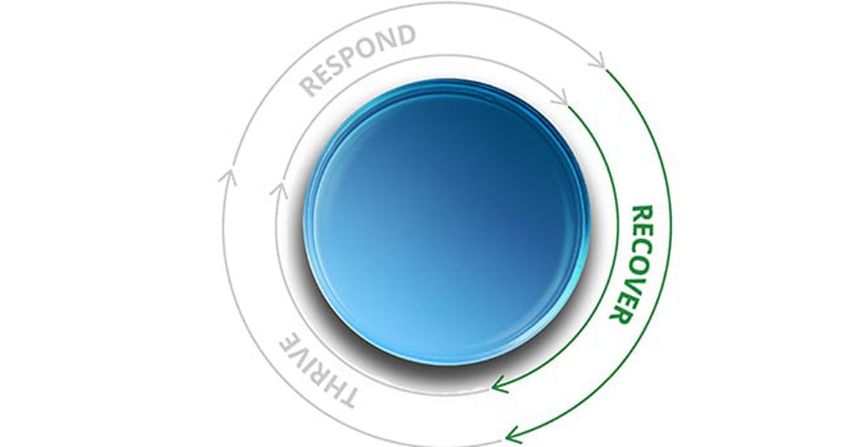 Embed relevant Command center protocols into business as usual ...