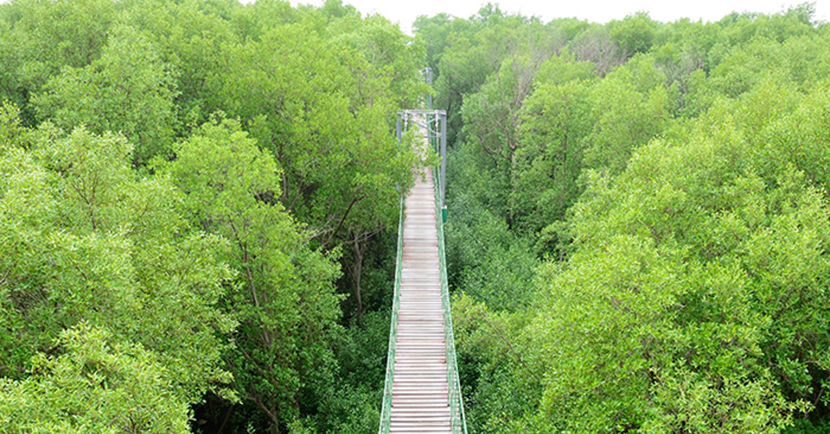 Learning Journey | Deloitte Italy