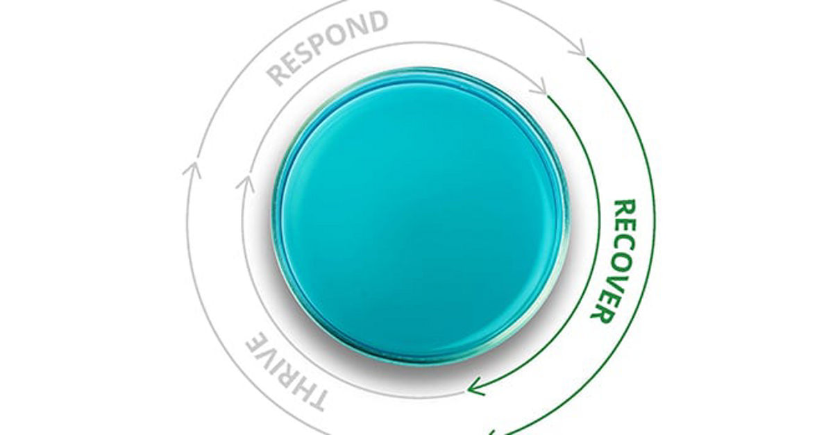 Reset receivables cycle and collections process and KPIs | Deloitte Global