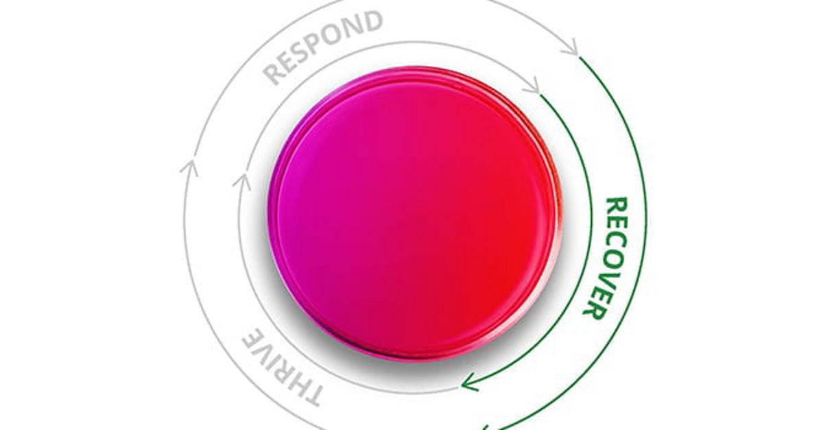 Manage inventory and cash flow through agile execution | Deloitte Global