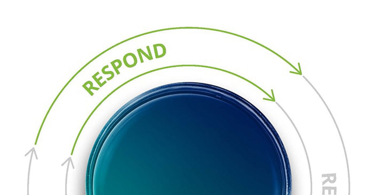 Activate and communicate preparedness strategy | Deloitte Global