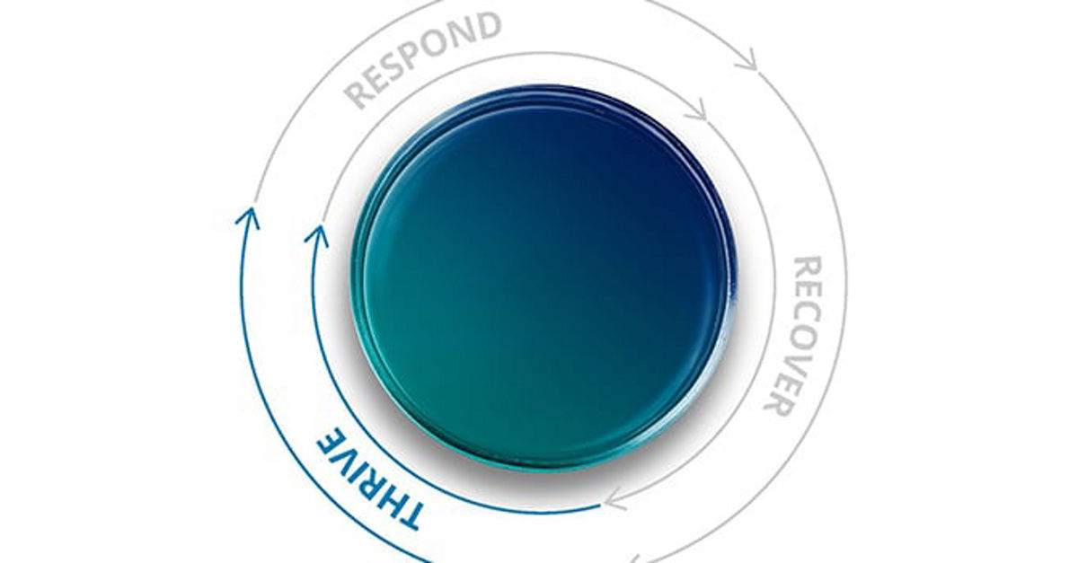 Regularly refresh vulnerabilities assessment | Deloitte Global