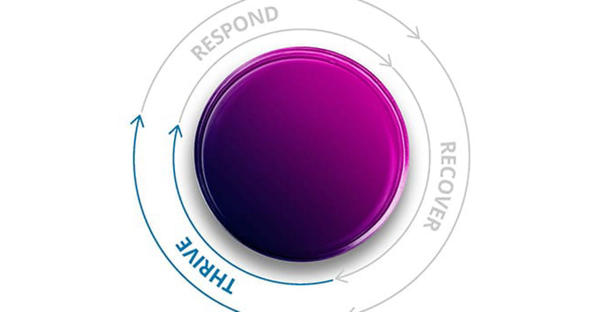 Build scenario thinking / sensing into strategic decision-making ...