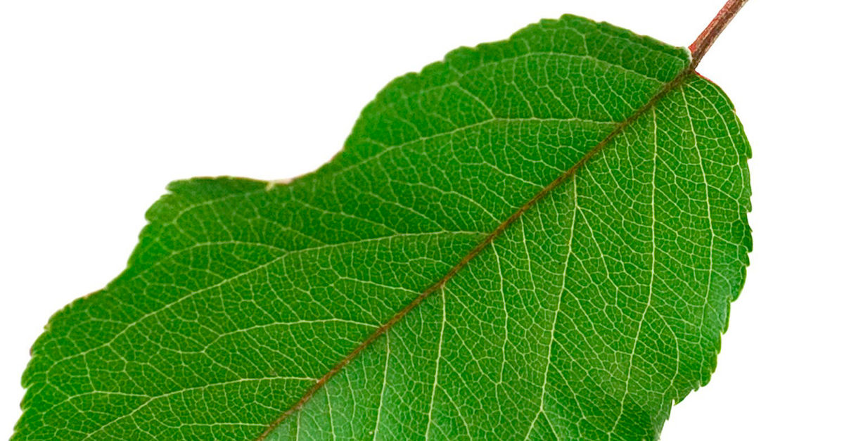 Sustainability | Deloitte Greece