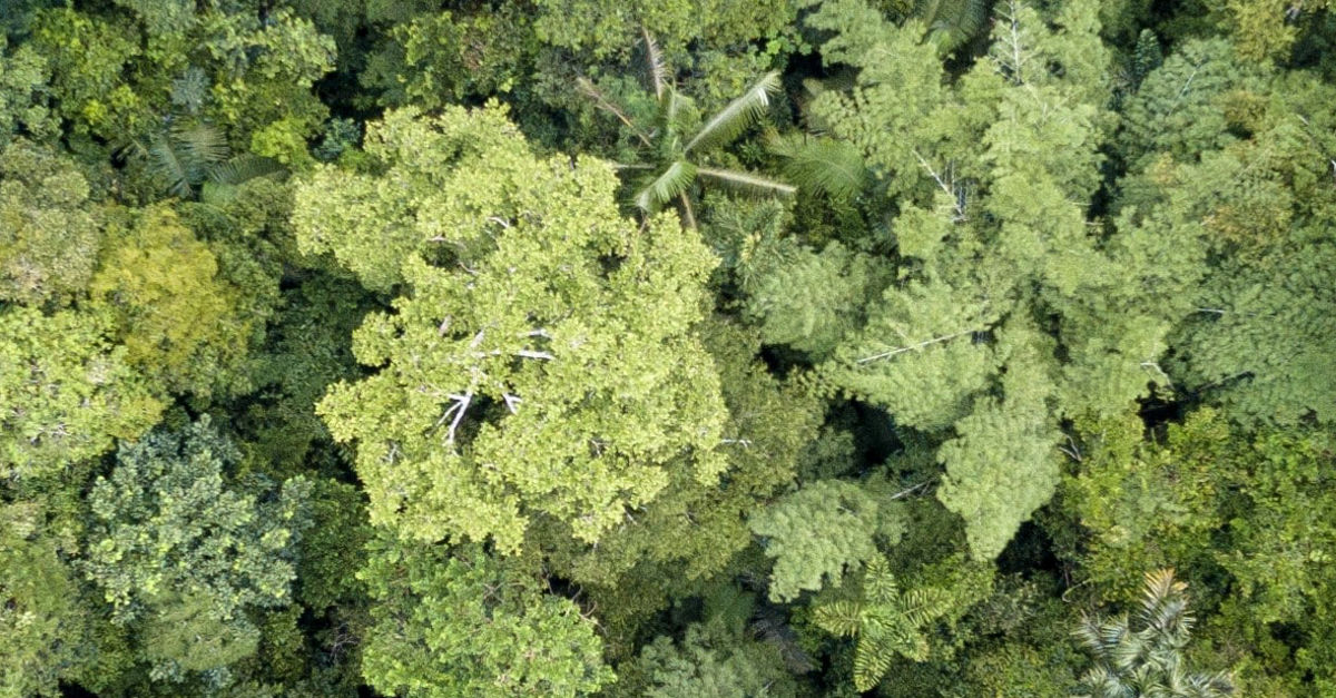 Fostering a Net-Zero Future: Deloitte Expands Commitments with the ...