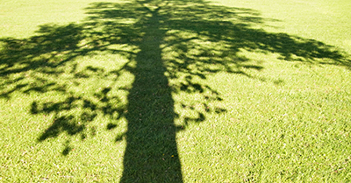 Code of ethics and environmental policy | Deloitte Ireland