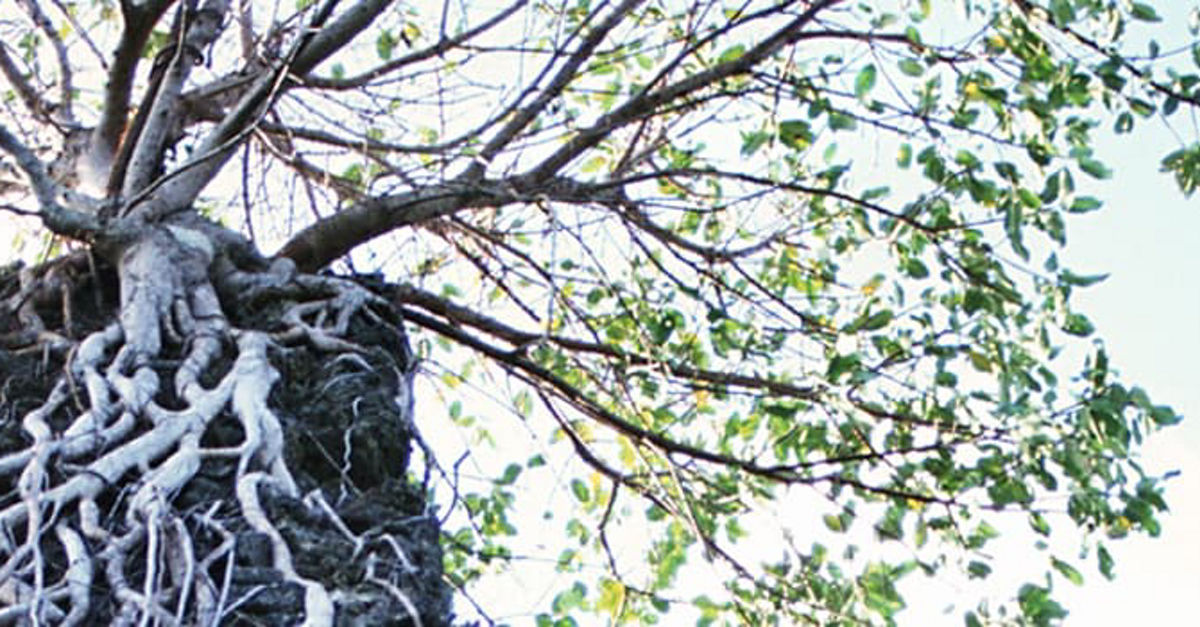 Deloitte’s Ethics Program | Deloitte | Global services, integrity ...