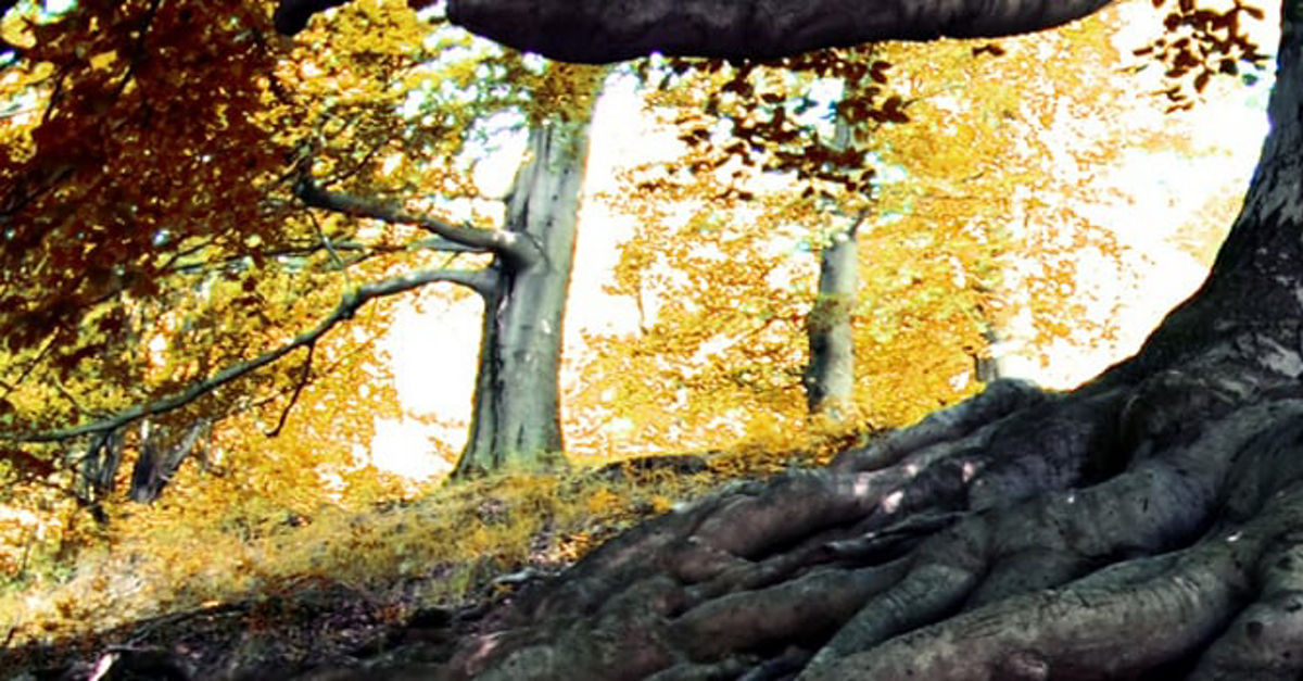 Report an ethics concern | Deloitte | Ethics contacts