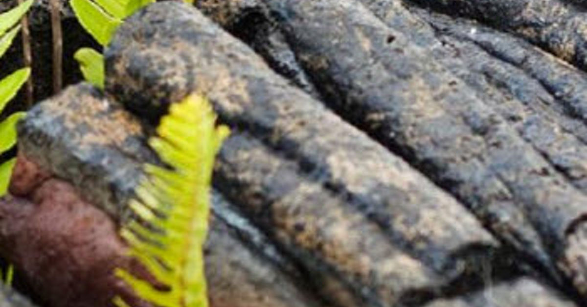 Risk Intelligence prism | Deloitte Greece