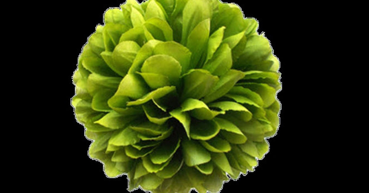 Climate Change and Sustainability in Focus: A spotlight on Downer ...