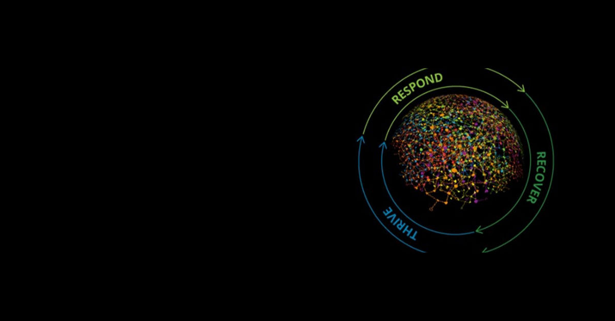 Experience in action | Deloitte Global