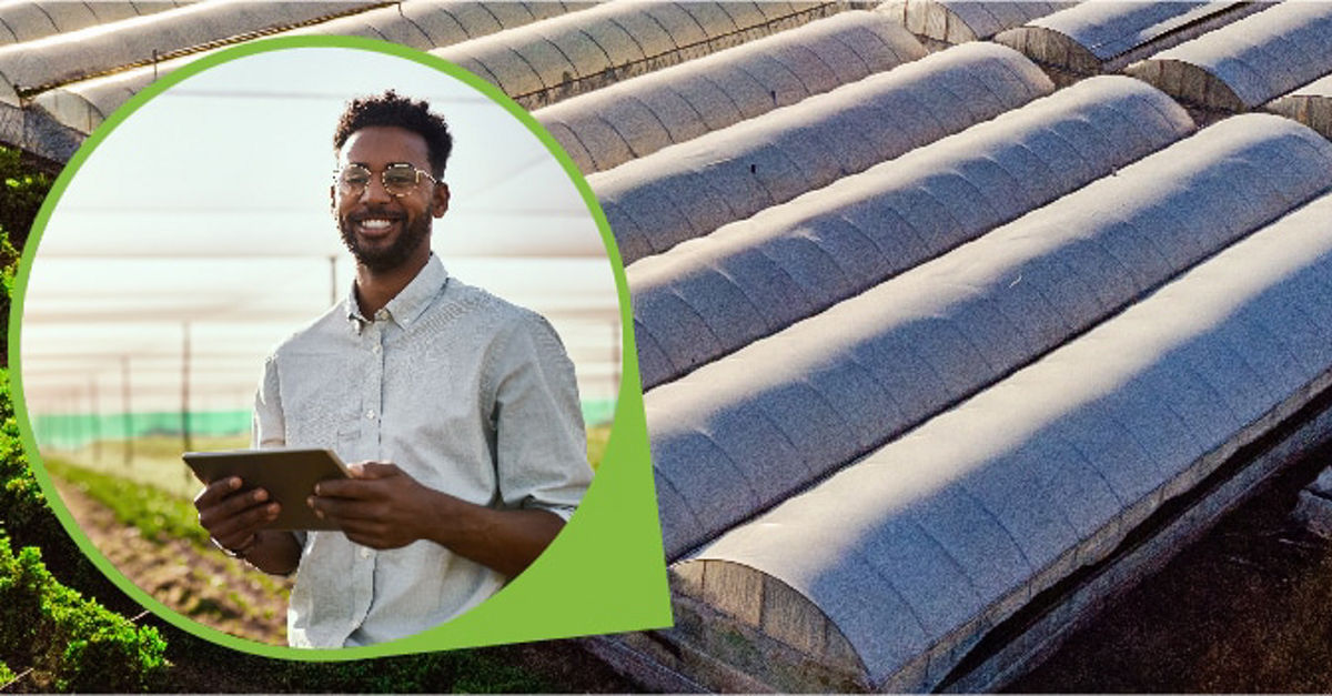 Optimizing value from capital projects | Deloitte | Infrastructure ...