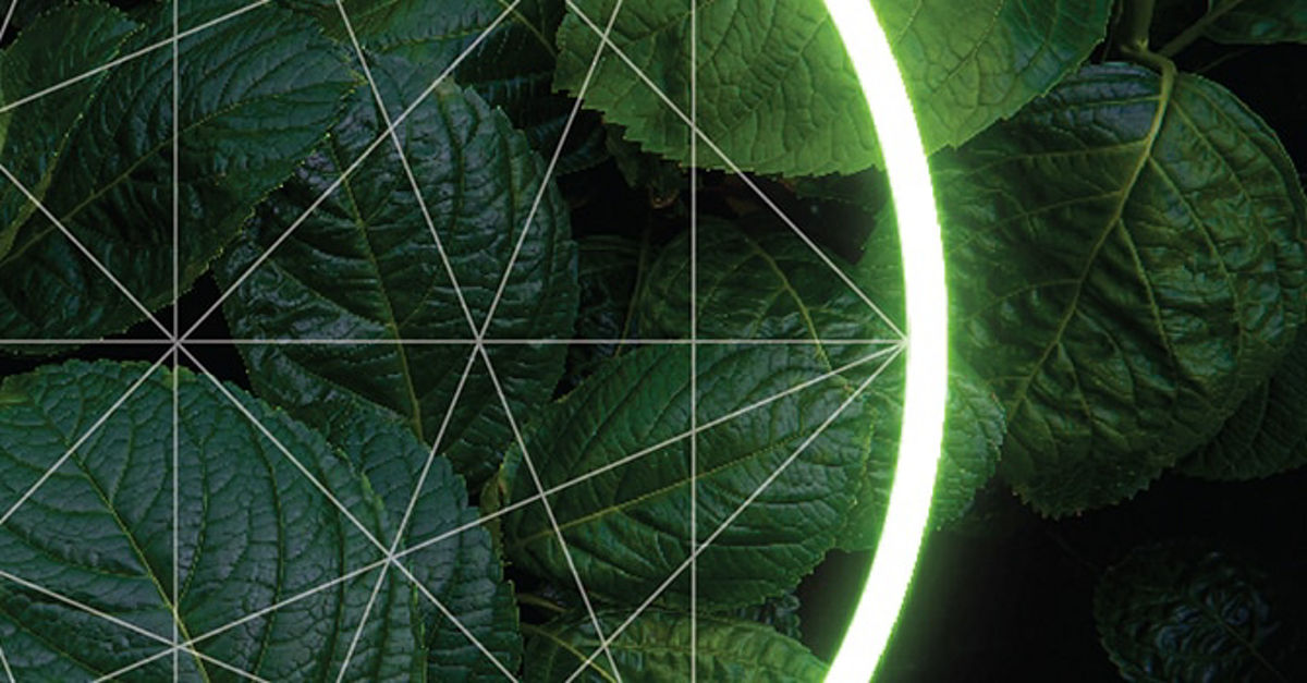 Living your purpose: A roadmap to integrated thinking and reporting ...