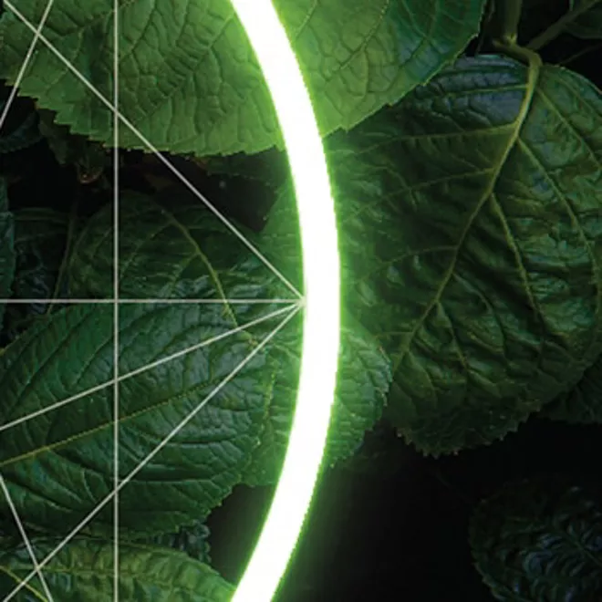 Focusing on sustainable value | Deloitte Global