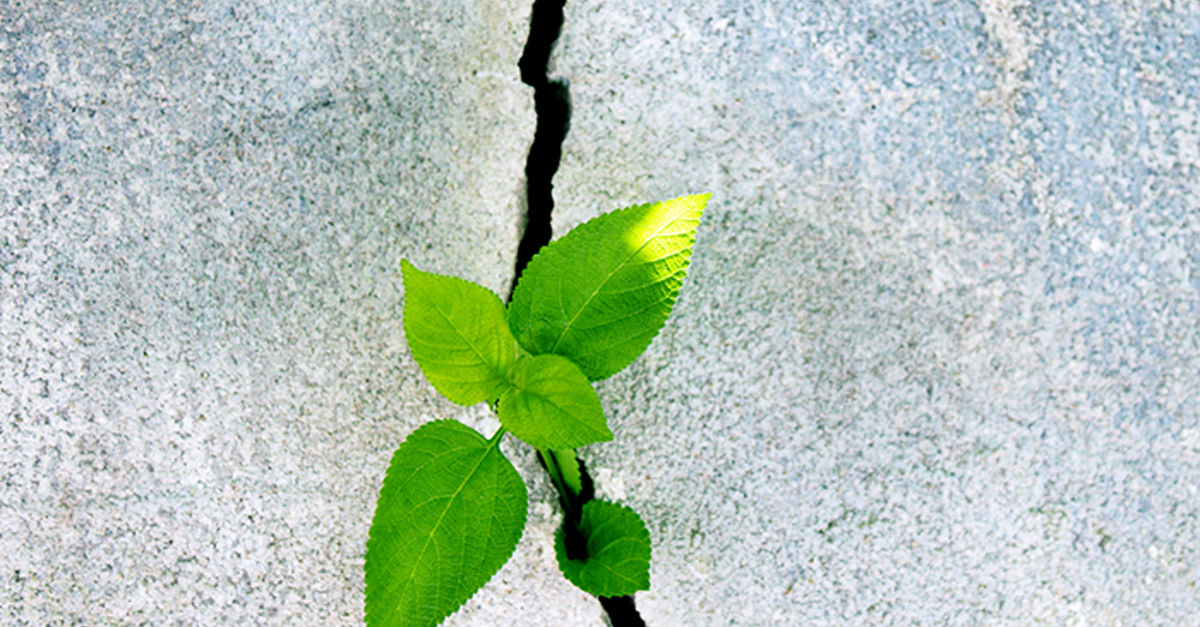 Cost management and improvement trends: Survey results | Deloitte Denmark