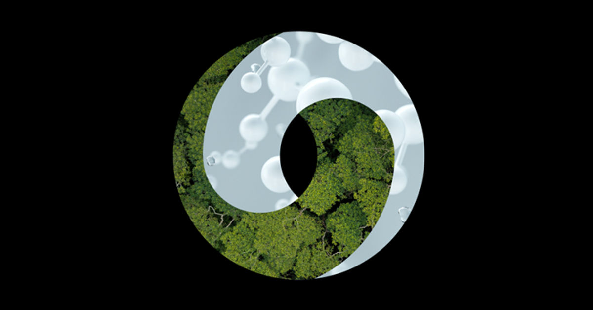 Pathways to decarbonization | Hydrogen | Deloitte Global