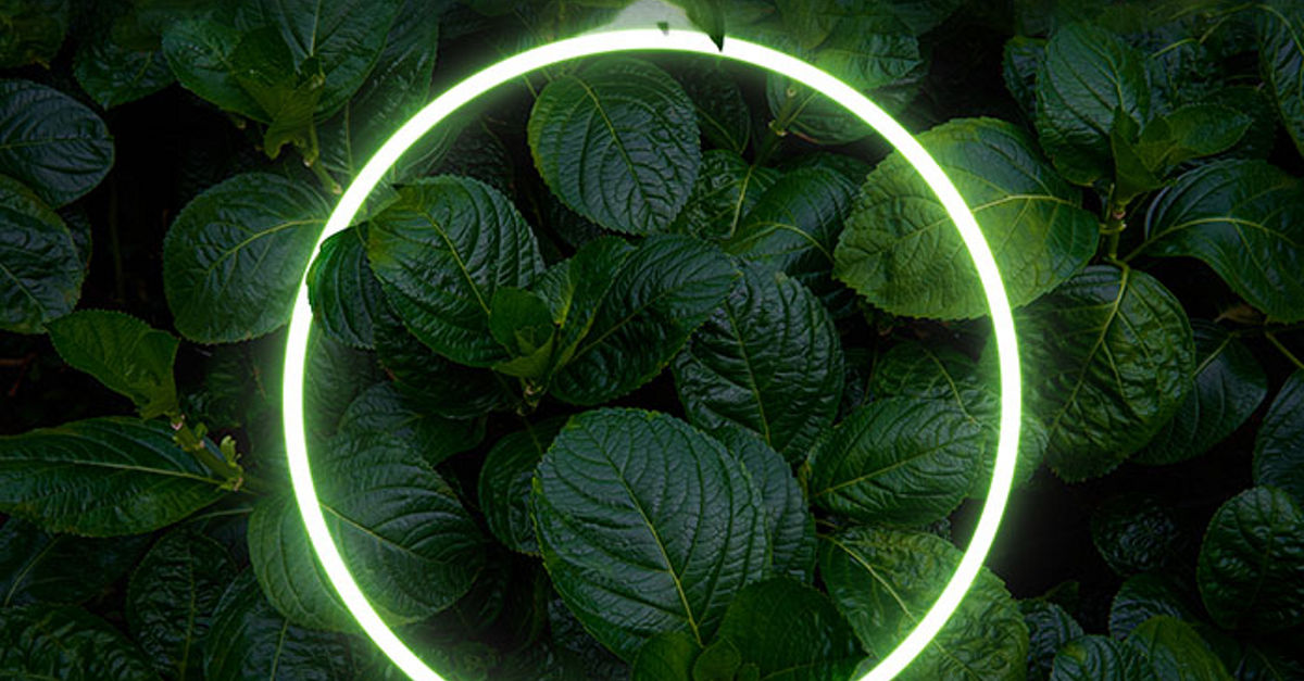 Verdantix Green Quadrant: ESG & Sustainability Assurance Services 2024 ...