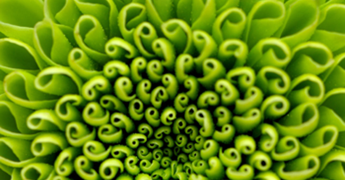 SAP: CRM | Deloitte | Technology
