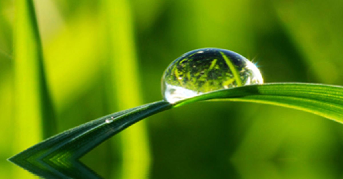 European VAT refund Guide - Indirect Tax | Deloitte Greece