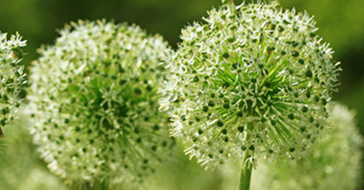 Annual Return Trading Details | Deloitte Ireland