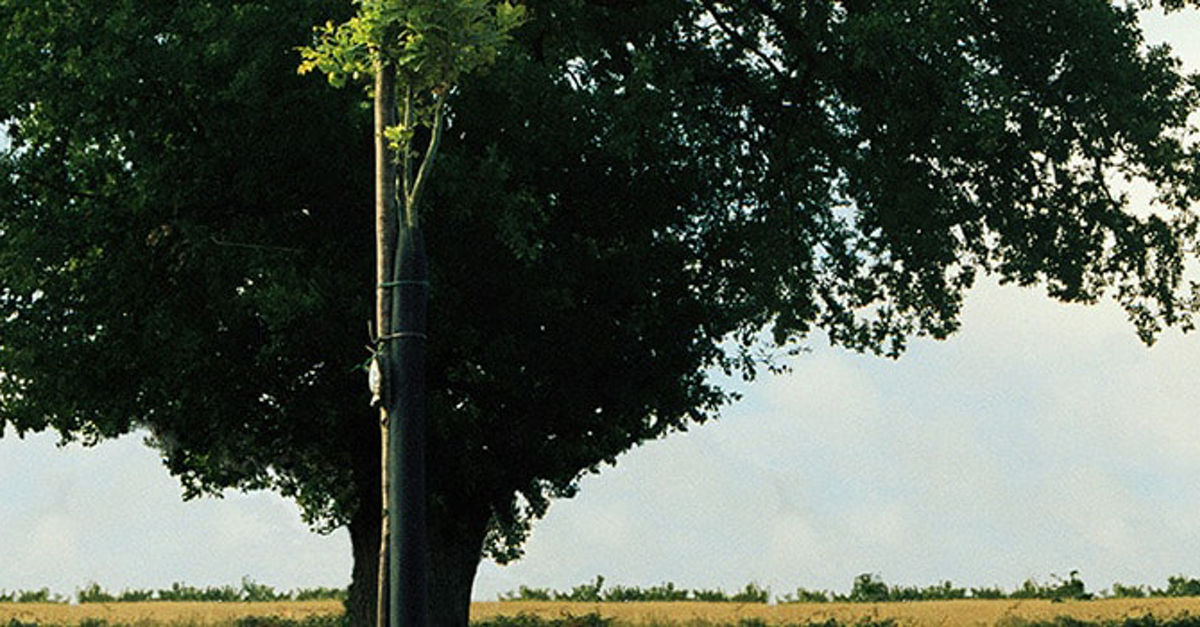 Principles of Global Business Conduct | Deloitte | Ethics