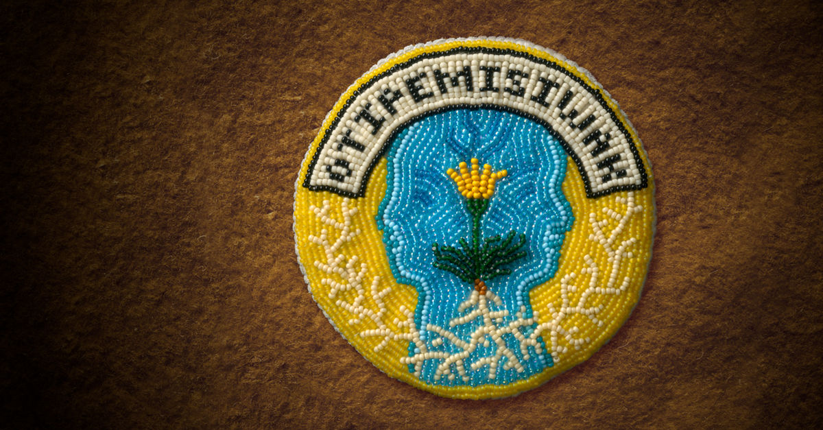 Honouring Indigenous sovereignty toward a future of collective ...